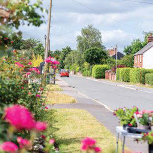 Nightingale Rise - Ditchingham - Norfolk - Badger Building